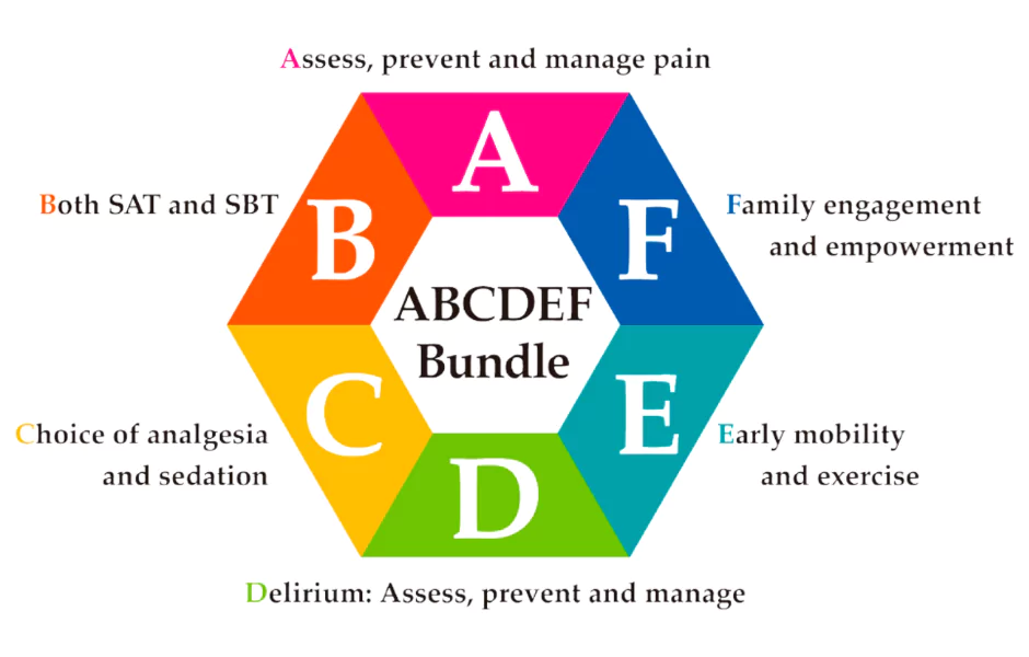 ABCDEF Bundle D E F 